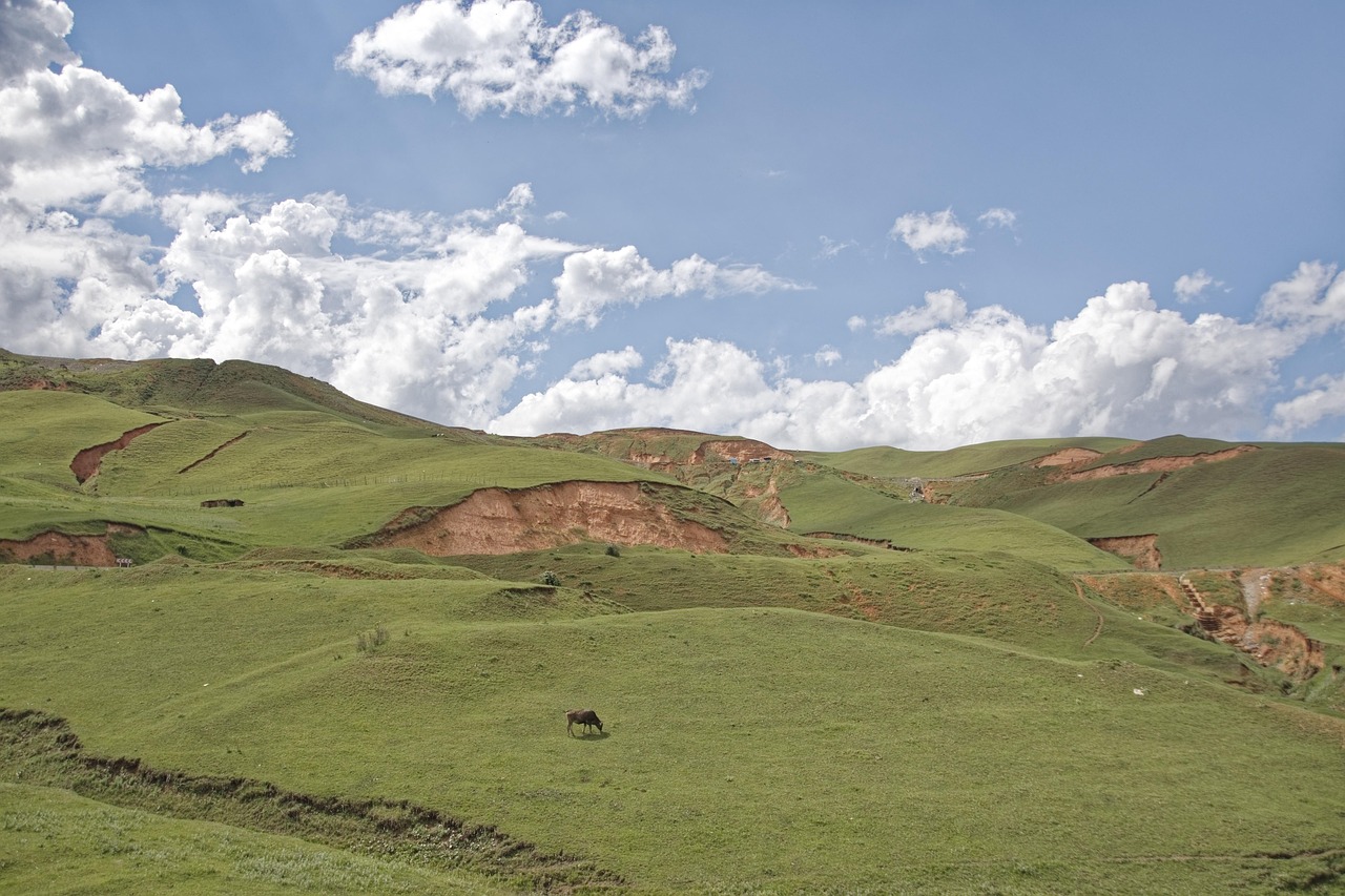 Kyrgyzstan Alai-Mountains Alai - Free photo on Pixabay - Pixabay