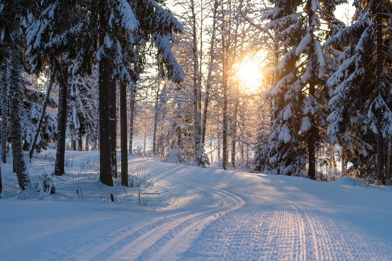 200+ Free Lapland Finland & Lapland Images - Pixabay