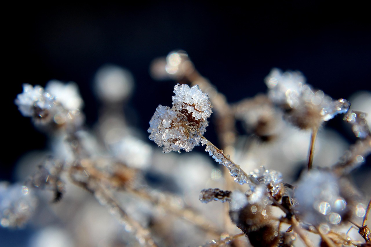 Ice Cream Crystals Frost - Free photo on Pixabay - Pixabay