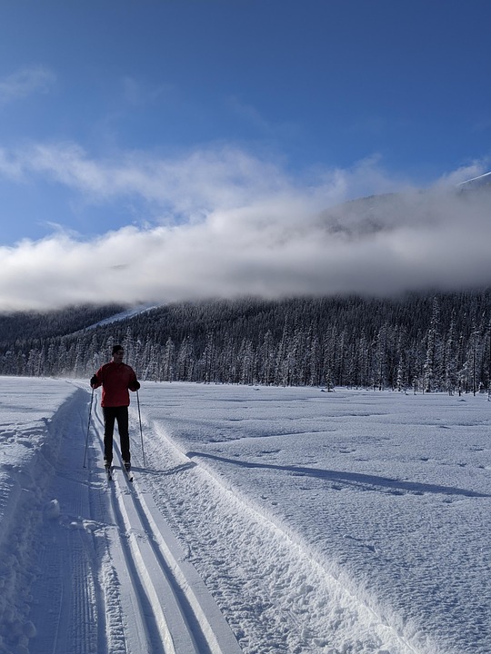 Ski De Fond Hiver Neige - Photo gratuite sur Pixabay