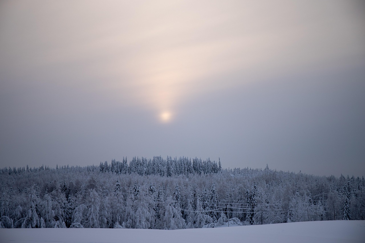 100+ Free Snowy Sunrise & Winter Images - Pixabay