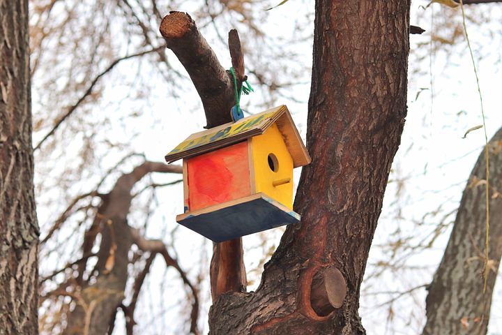 400+ Free Birdhouse & Nature Images - Pixabay