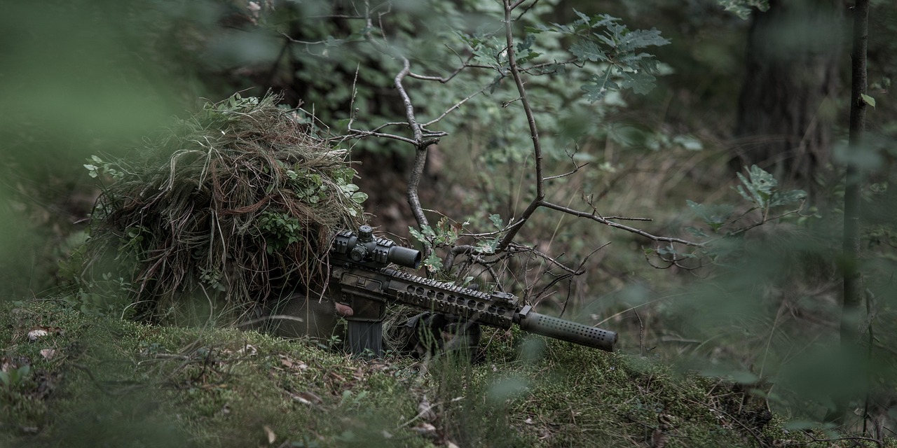 Más de 300 imágenes gratis de Militares y Soldado - Pixabay
