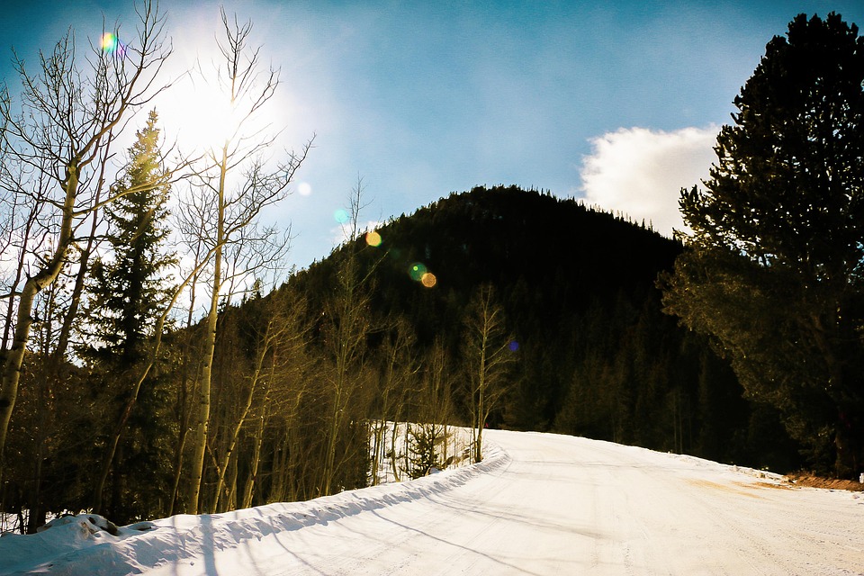 Mountain Aspen Snow - Free photo on Pixabay