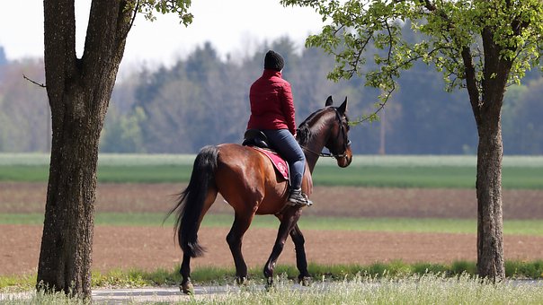 70+ kostenlose Ausritt & Ausreiten Fotos - Pixabay