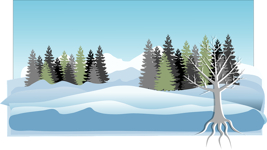 100+ Free Snow Trees & Christmas Vectors