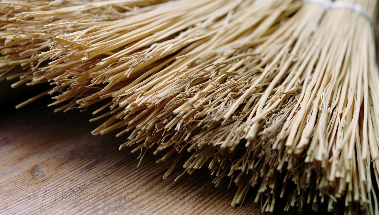 Brush Brown Texture - Free photo on Pixabay