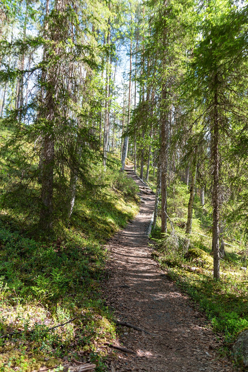 Sendero Senderismo El Verano - Foto gratis en Pixabay - Pixabay