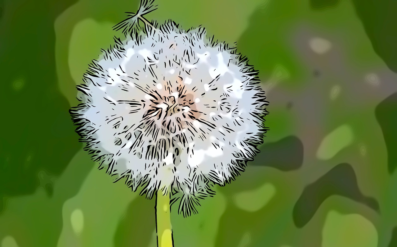 Explore 246+ Free Dandelion Illustrations: Download Now - Pixabay