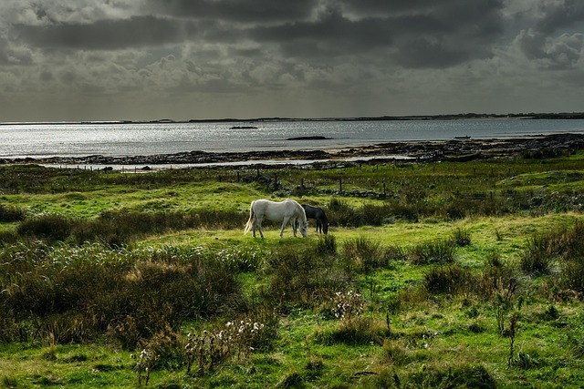 100+ Free Connemara & Ireland Images - Pixabay