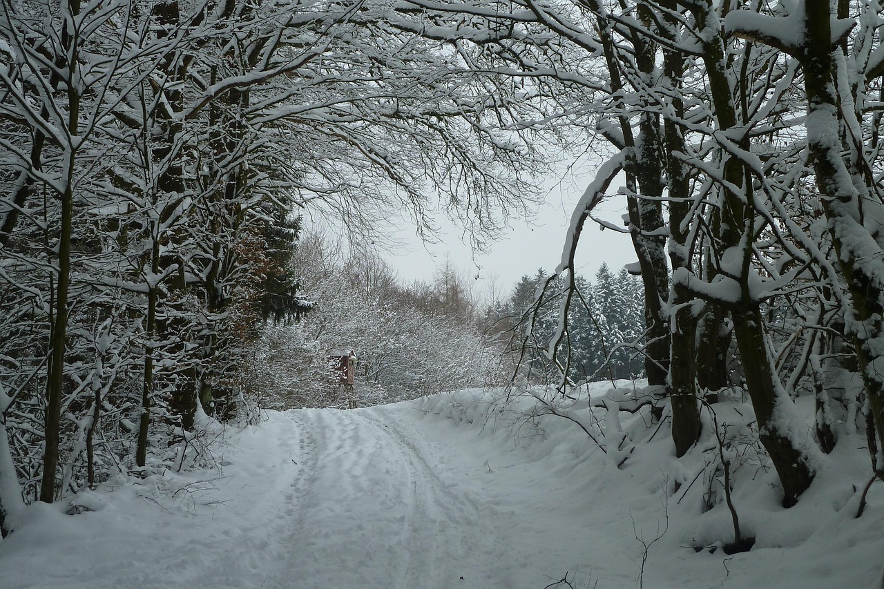 Neve Inverno Frio - Foto gratuita no Pixabay - Pixabay