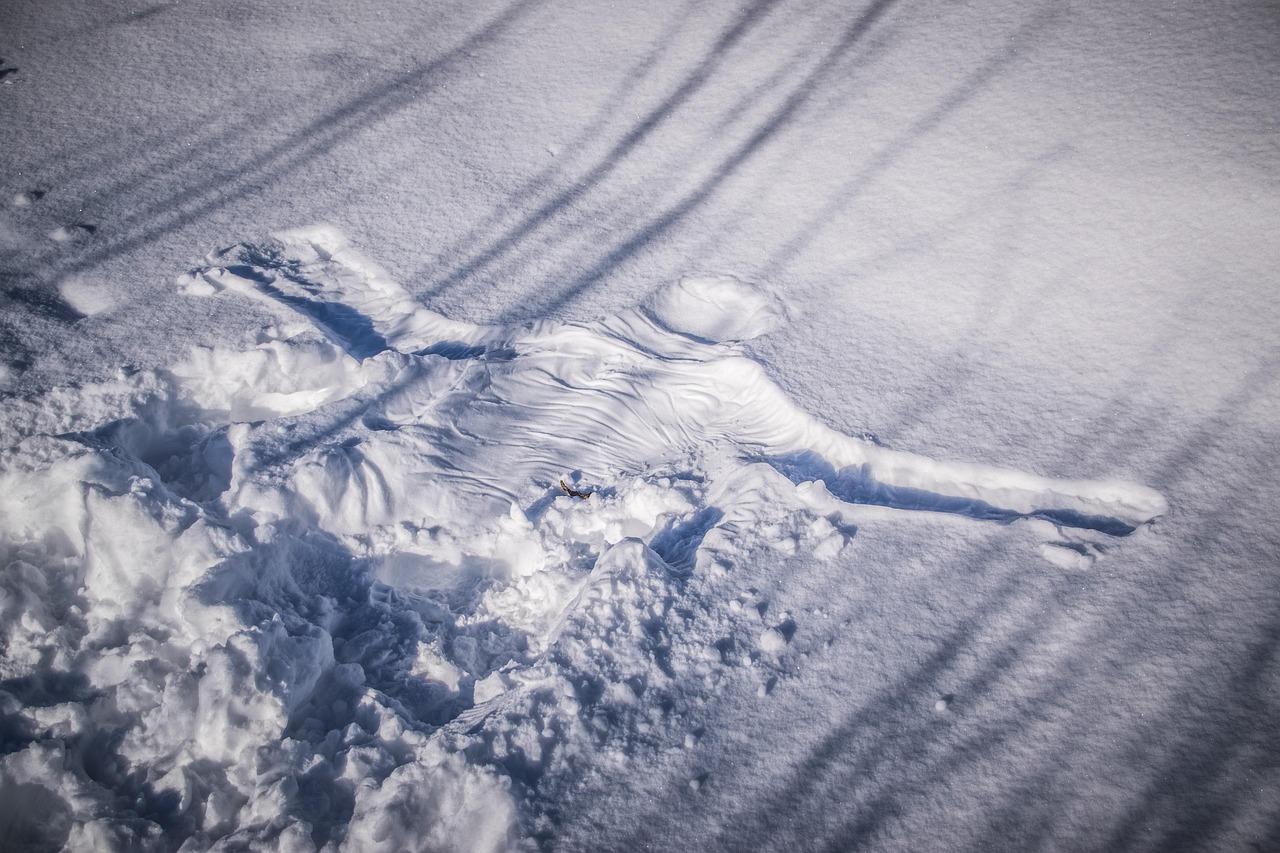 Nieve Escarcha Imprimir - Foto gratis en Pixabay Nieve Escarcha Imprimir - Foto gratis en Pixabay