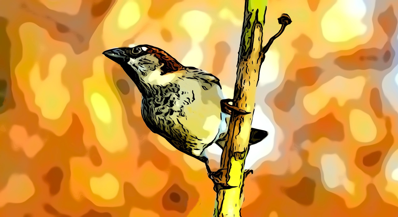 Explore 167+ Free Sparrow Illustrations: Download Now - Pixabay