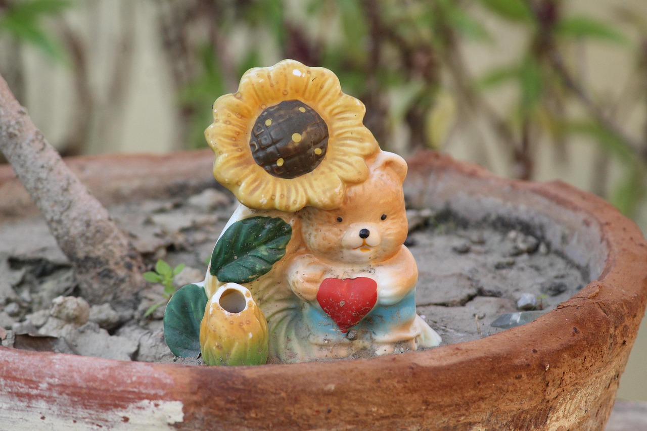 40,000+ Free Potted Plant Display & Plant Images - Pixabay