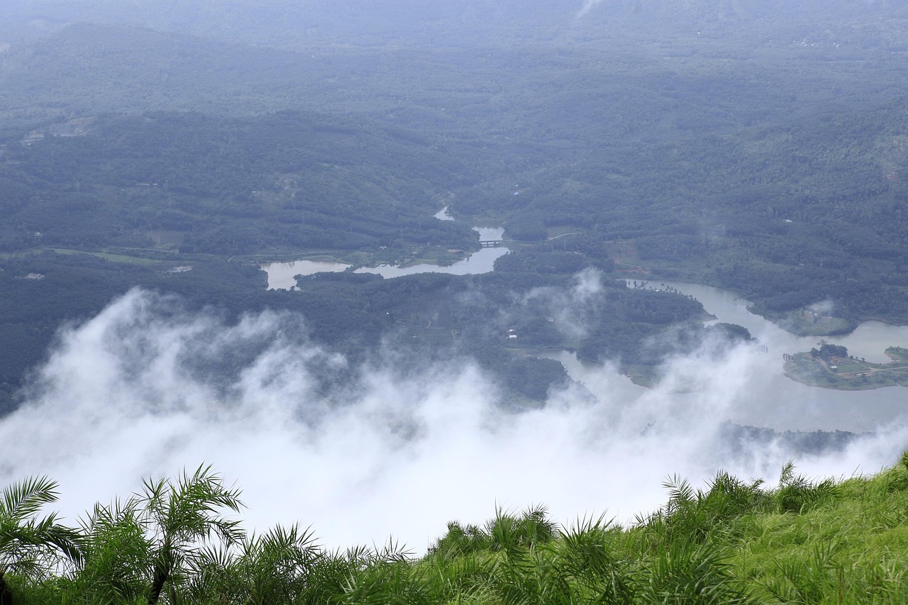 Kerala Landscape Ideas