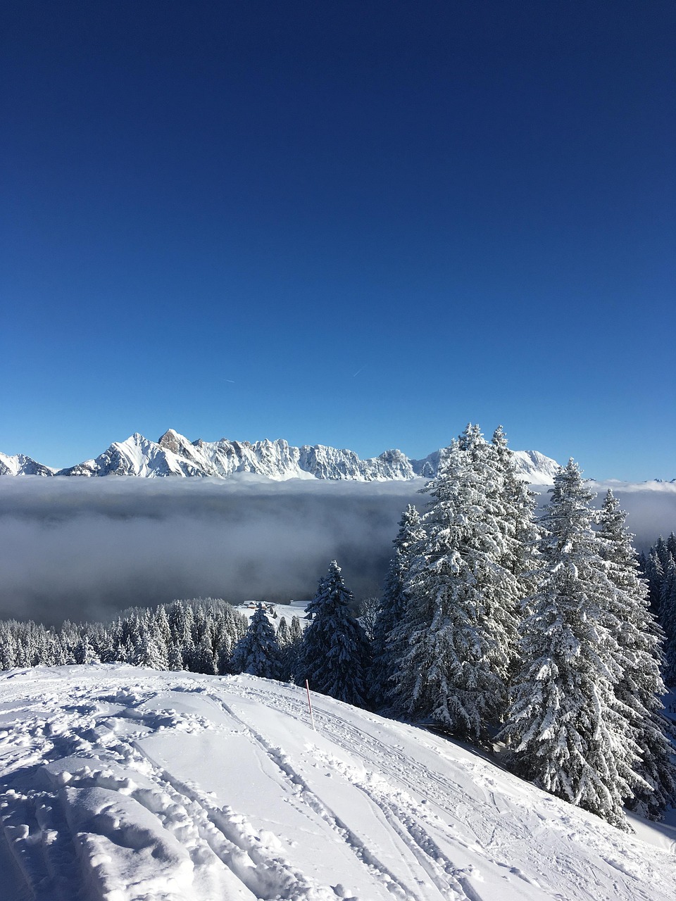 瑞士 Flums Flumselberg - Pixabay上的免费照片 - Pixabay