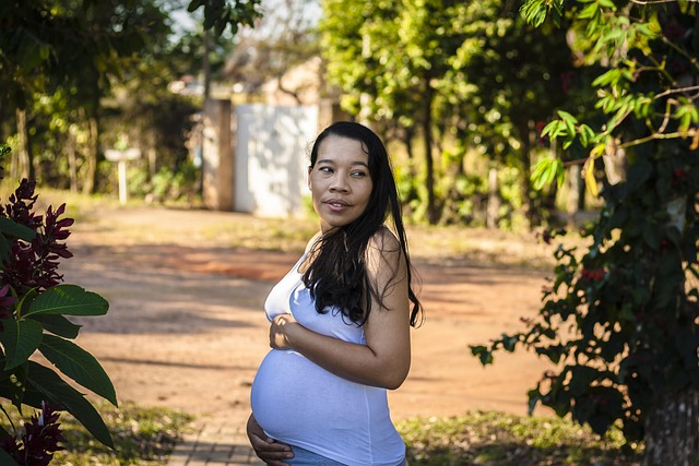 Pregnant Baby Pregnancy - Free photo on Pixabay - Pixabay