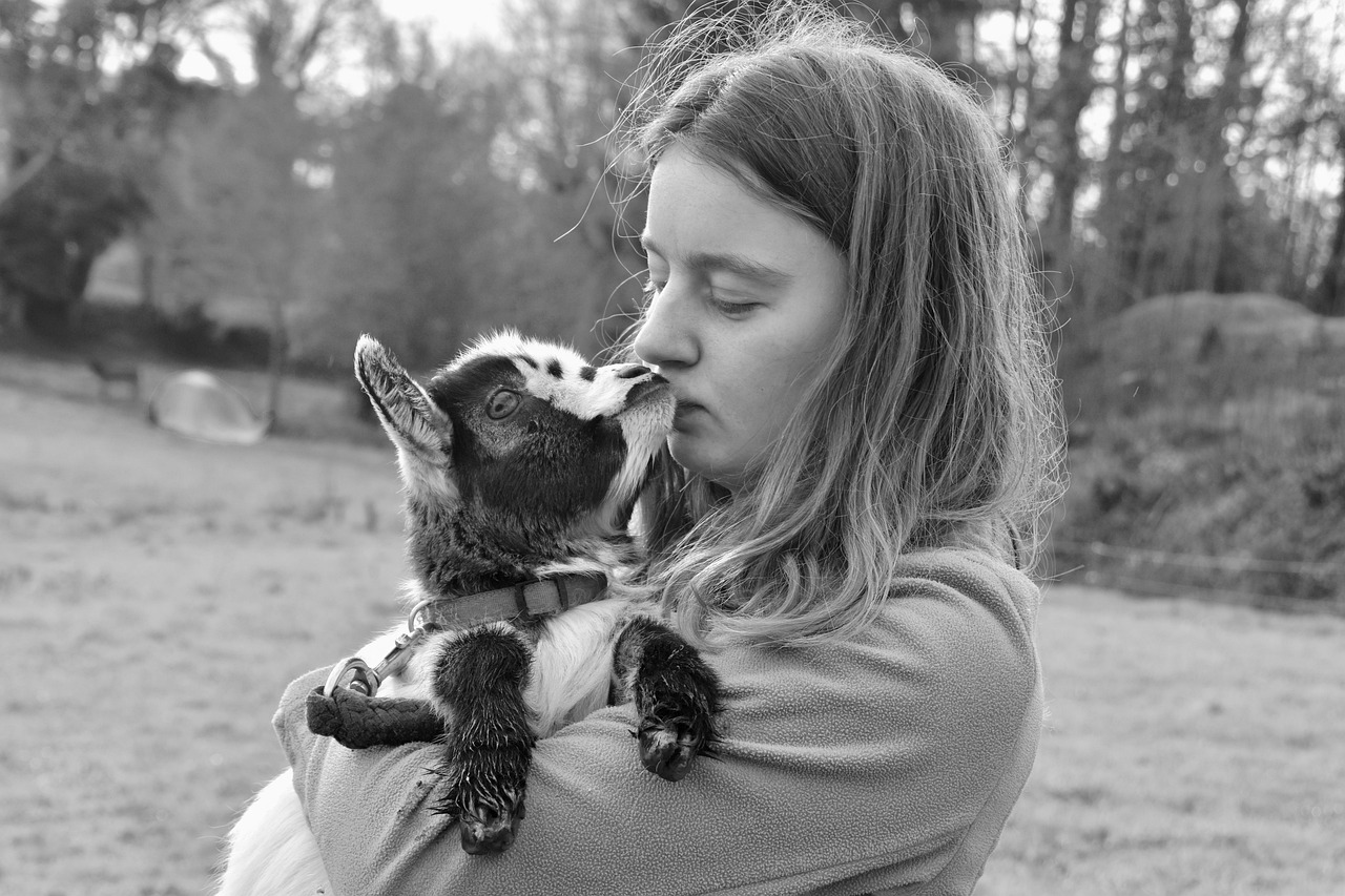 100+ Free Baby Goat & Goat Images - Pixabay