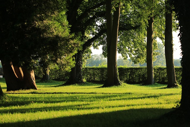 Parque Prado El Verano - Foto gratis en Pixabay - Pixabay