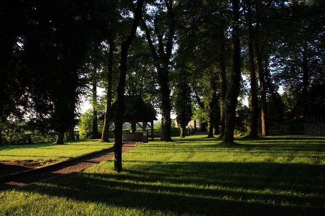 Parco Prato Estate - Foto gratis su Pixabay - Pixabay