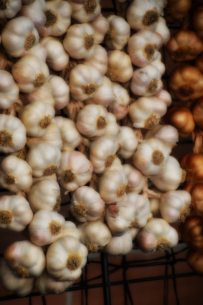Ajo Vegetal Comida - Foto gratis en Pixabay - Pixabay