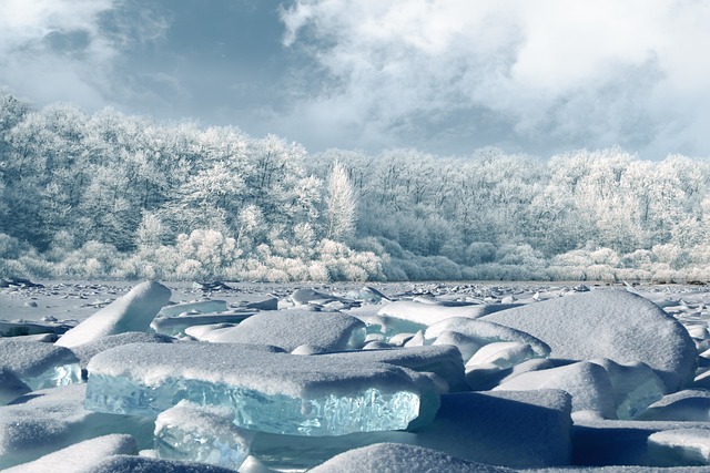 Paisaje Invierno Frio - Foto gratis en Pixabay - Pixabay