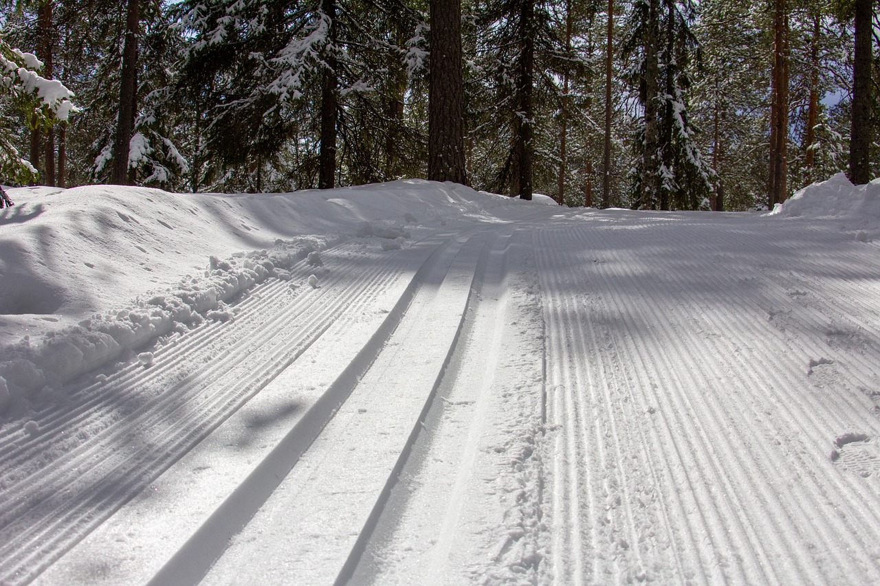 Skipisten Schnee Ski - Kostenloses Foto auf Pixabay - Pixabay