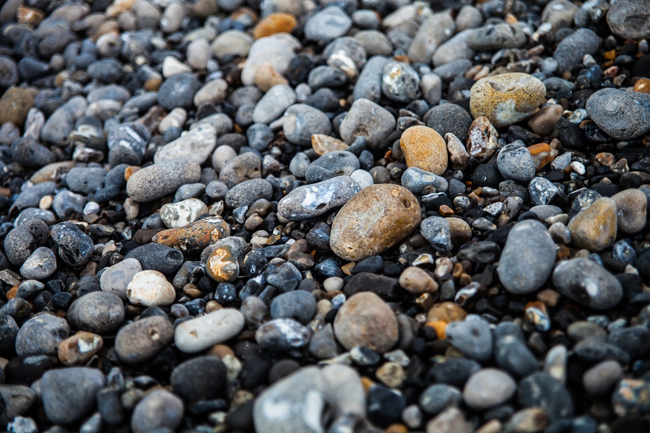 Plus de 40 images de Caillou et de Nature - Pixabay