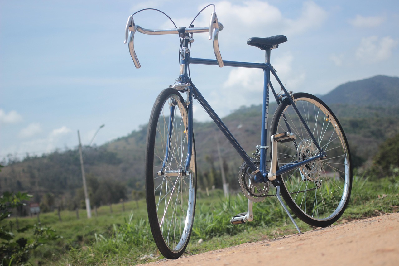 Caloi10 Caloi Bike - Free photo on Pixabay - Pixabay