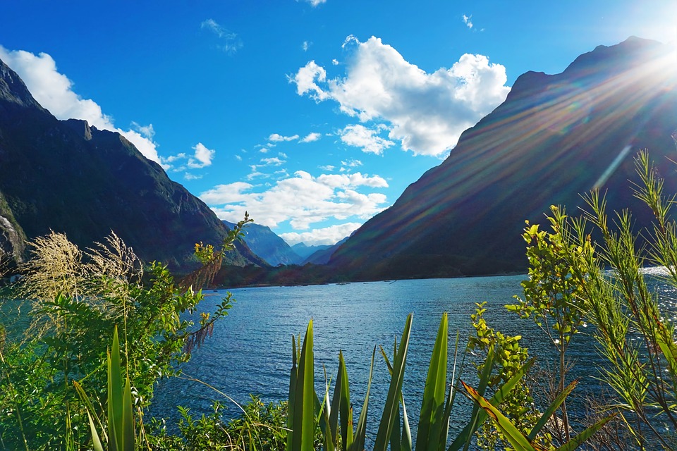 Beauty Scene Destination Newzeland - Free photo on Pixabay - Pixabay