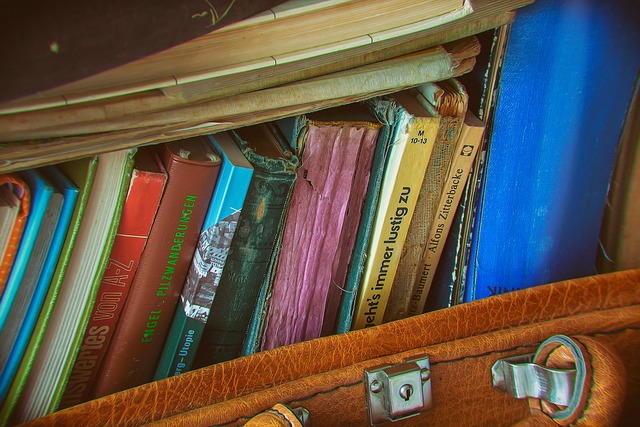 Suitcase Books Nostalgia Leather - Free photo on Pixabay - Pixabay