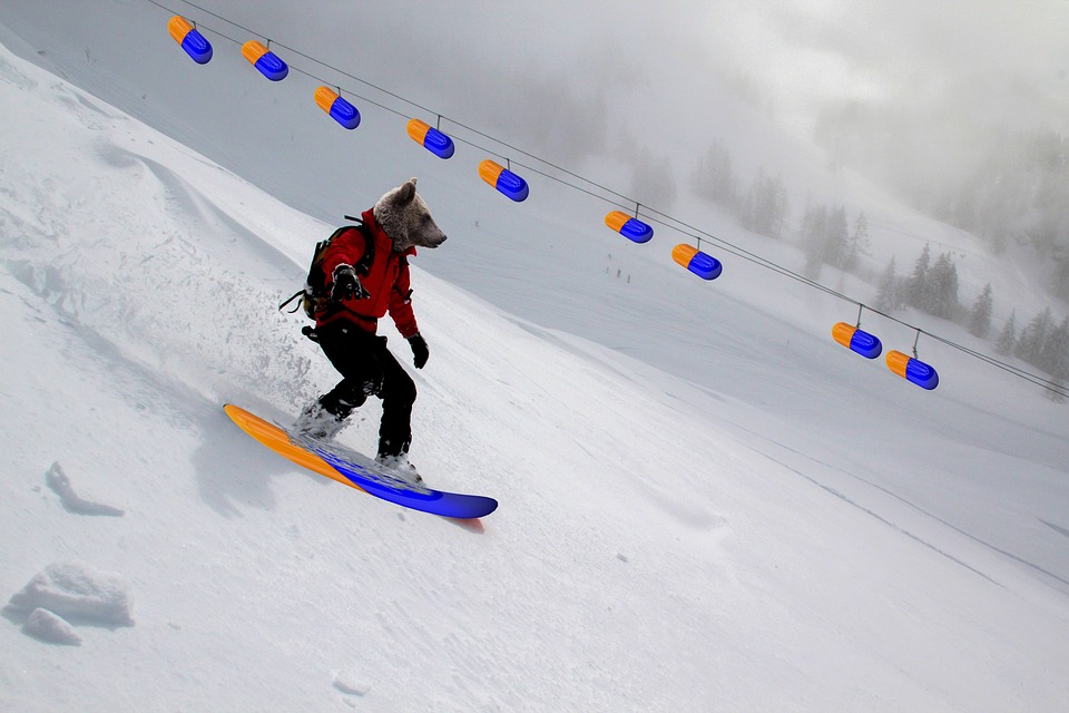 Snow Track Ski - Free photo on Pixabay
