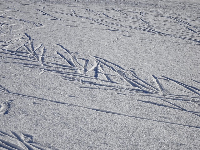 Cross-Country Skiing Track Snow - Free photo on Pixabay - Pixabay