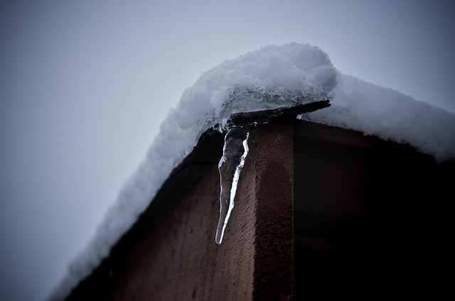 Winter Cold Ice - Free photo on Pixabay - Pixabay