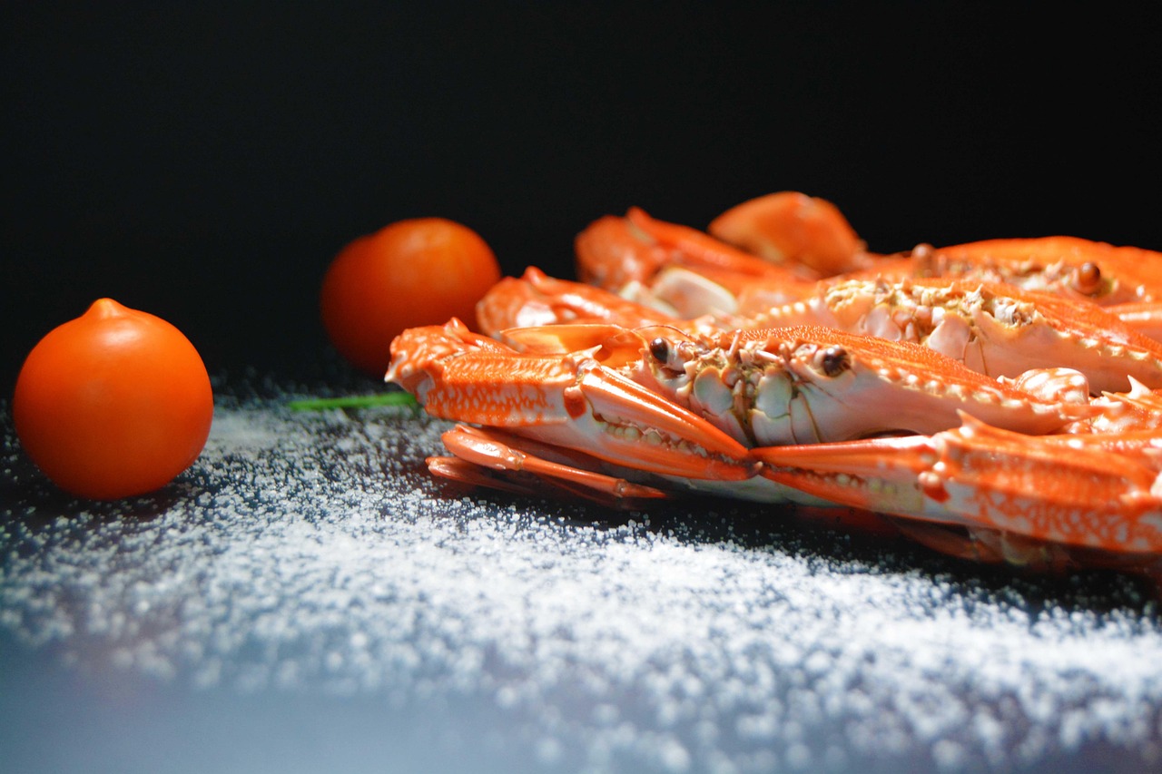 Plus de 2 000 images de Crabes et de Nature - Pixabay