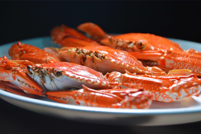Plus de 1 000 photos gratuites de Crabes et de Nature - Pixabay