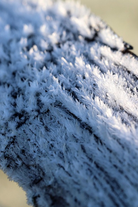 Frost Eis Winter - Kostenloses Foto auf Pixabay