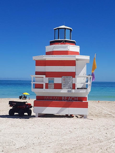20,000+ Free Miami Beach & Miami Images - Pixabay