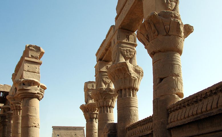 800+ Free Sanctuary & Good Aiderbichl Images - Pixabay