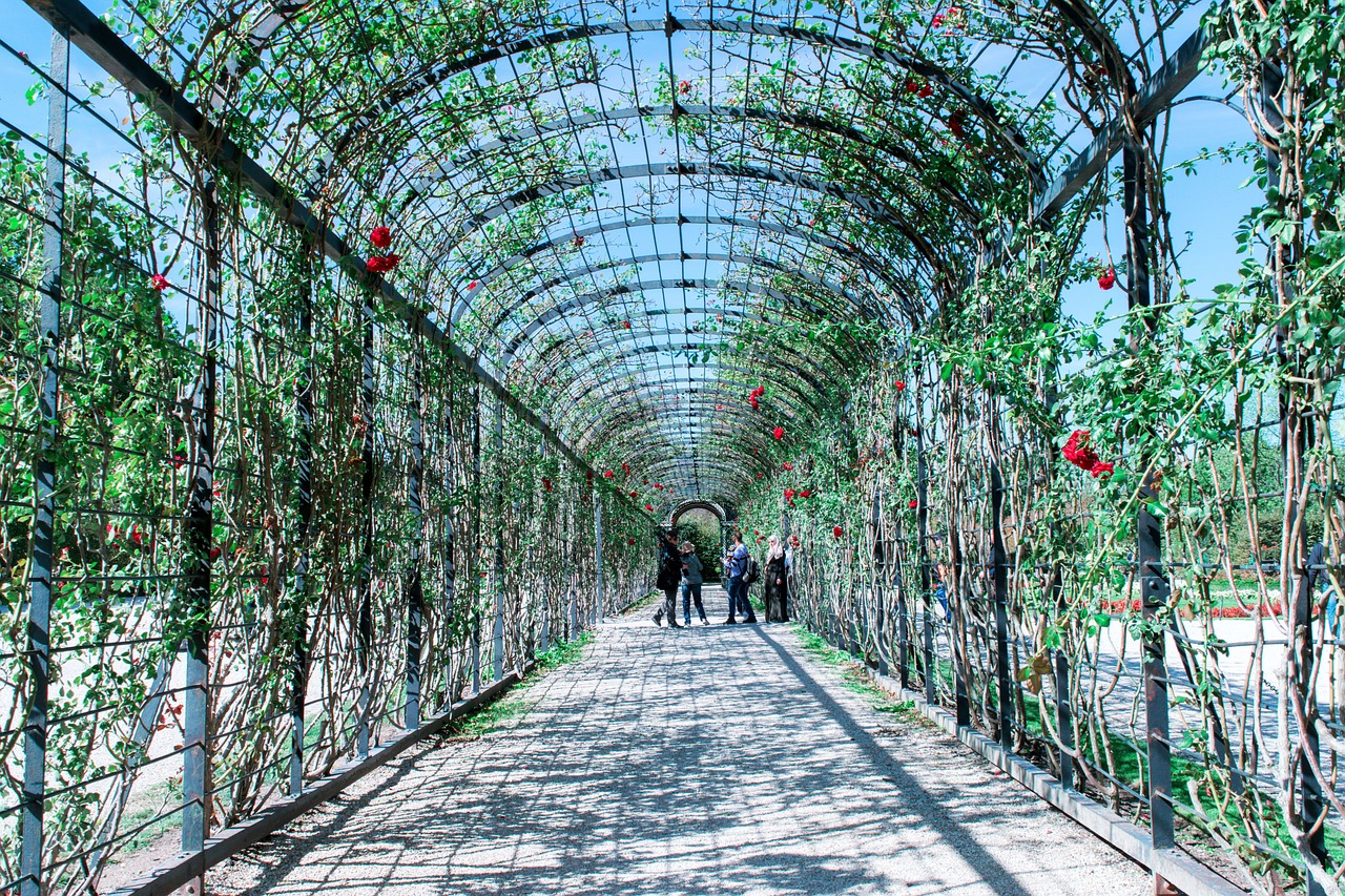 Austria Garden Schönbrunn Palace - Free photo on Pixabay - Pixabay