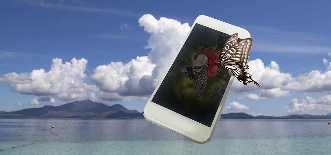 Cell Phone Butterfly Ocean - Free photo on Pixabay