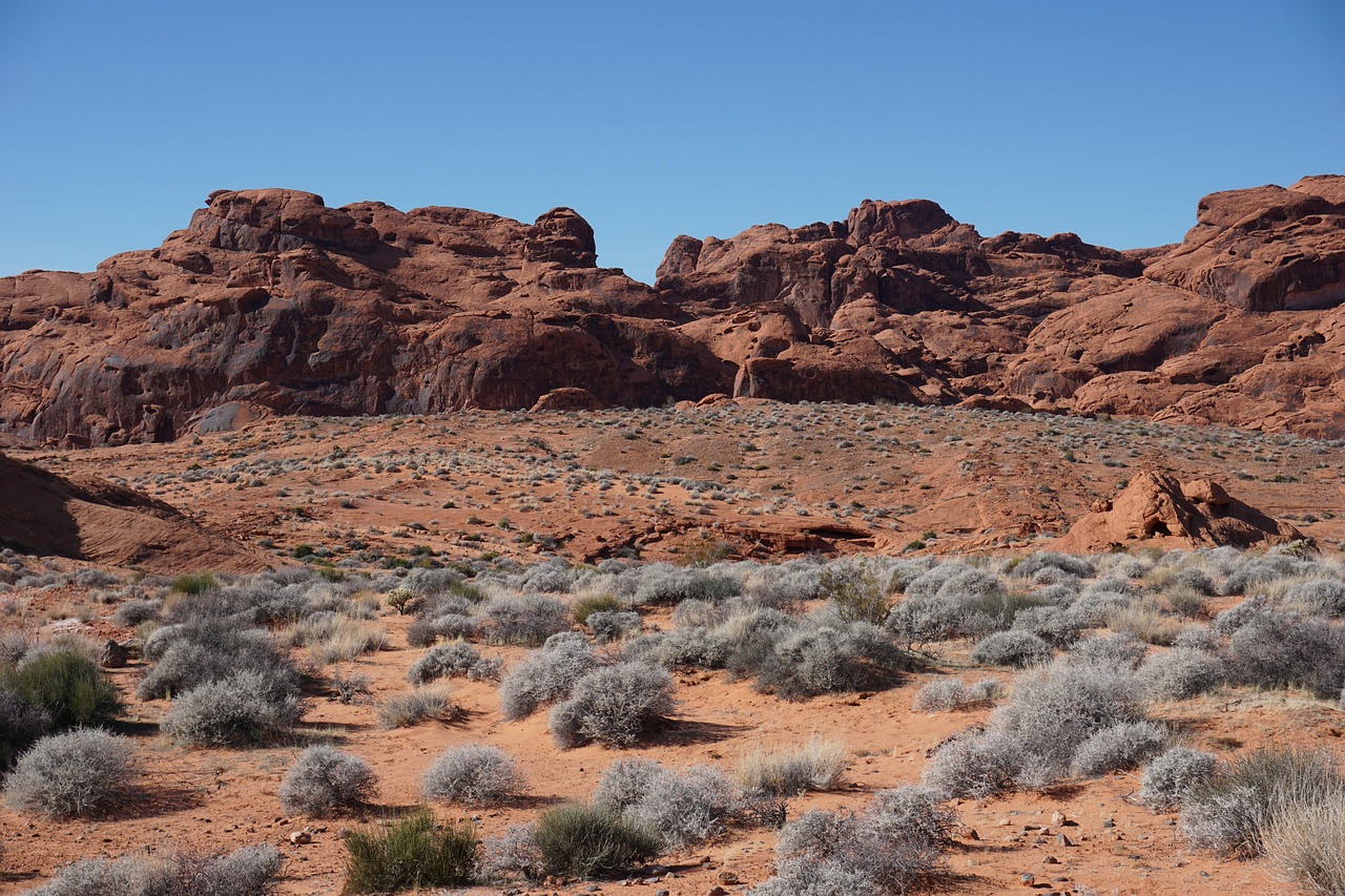 Nevada Valley Of Fire Desert - Free photo on Pixabay - Pixabay