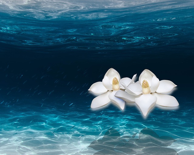 Download Sea, Sand, Flower. Royalty-Free Stock Illustration Image - Pixabay