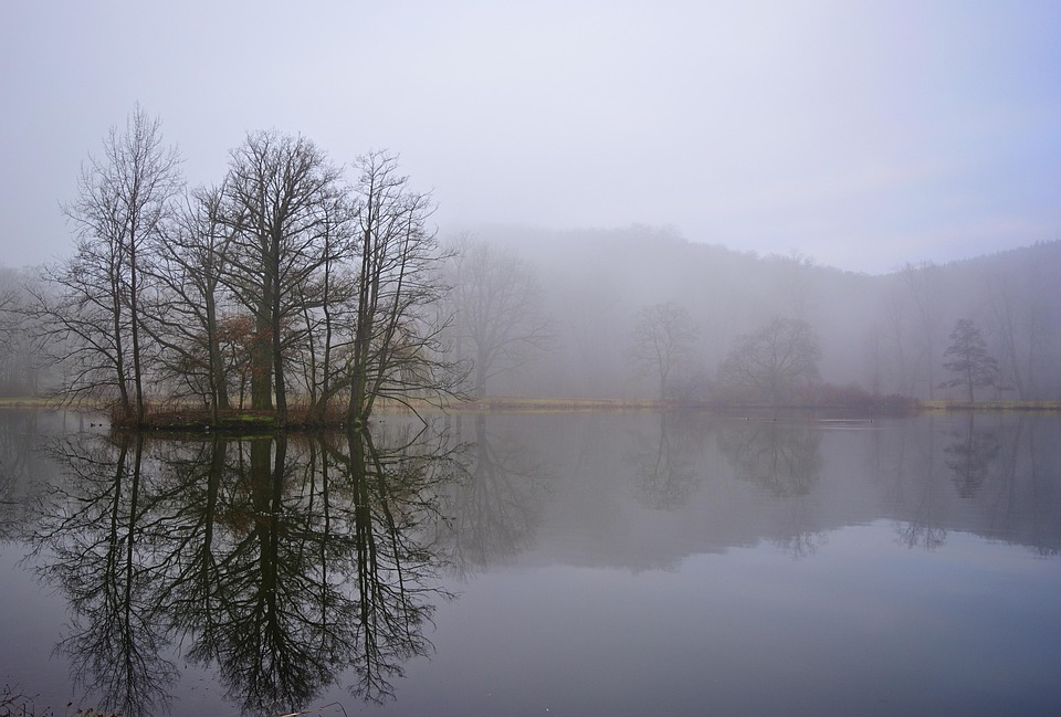 Nature Park Lake - Free photo on Pixabay - Pixabay