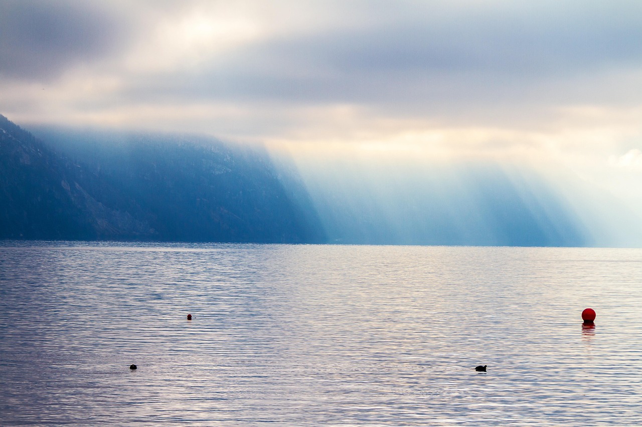 Lake Fog Mood - Free photo on Pixabay
