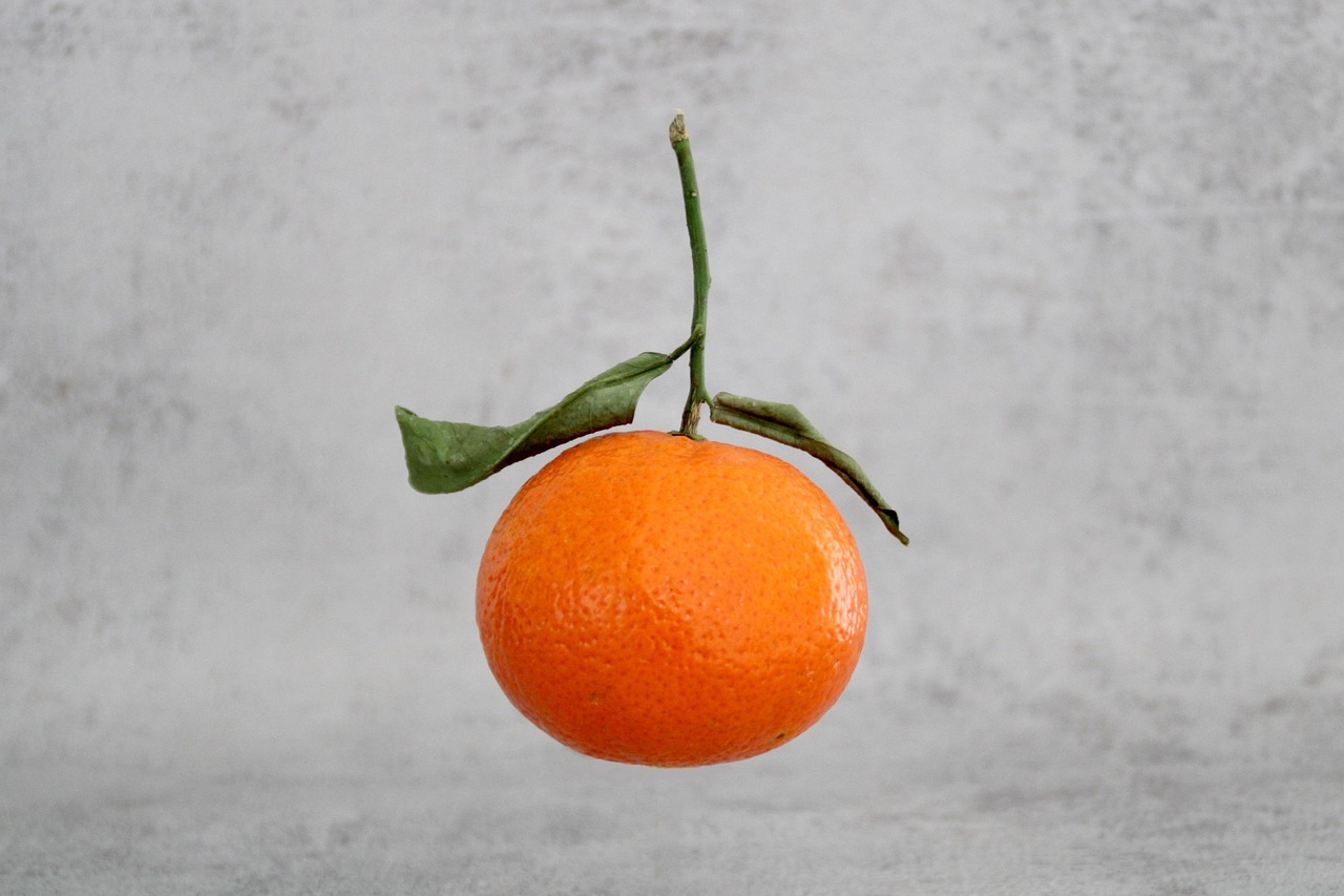 Plus de 200 images de Clementines et de Clémentine - Pixabay