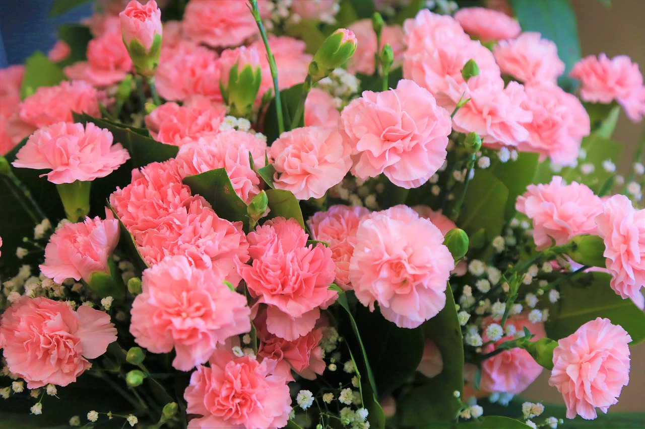 Plus de 500 images de Clou De Girofle et de Fleur - Pixabay