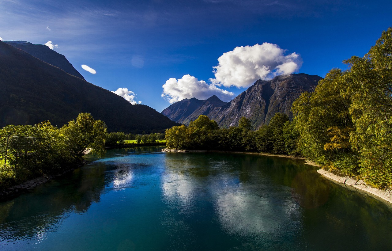 20,000+ Free All Images & Background Image Images - Pixabay