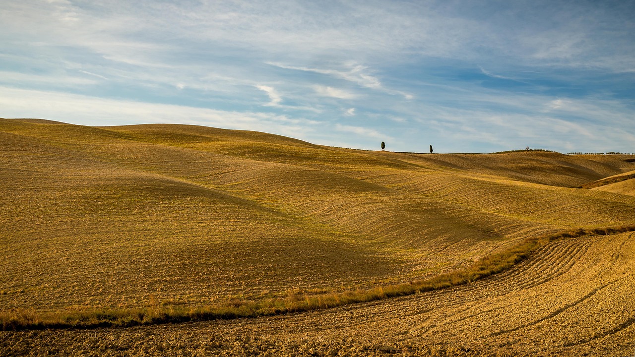 Tuscany Collines Jaune - Photo gratuite sur Pixabay - Pixabay