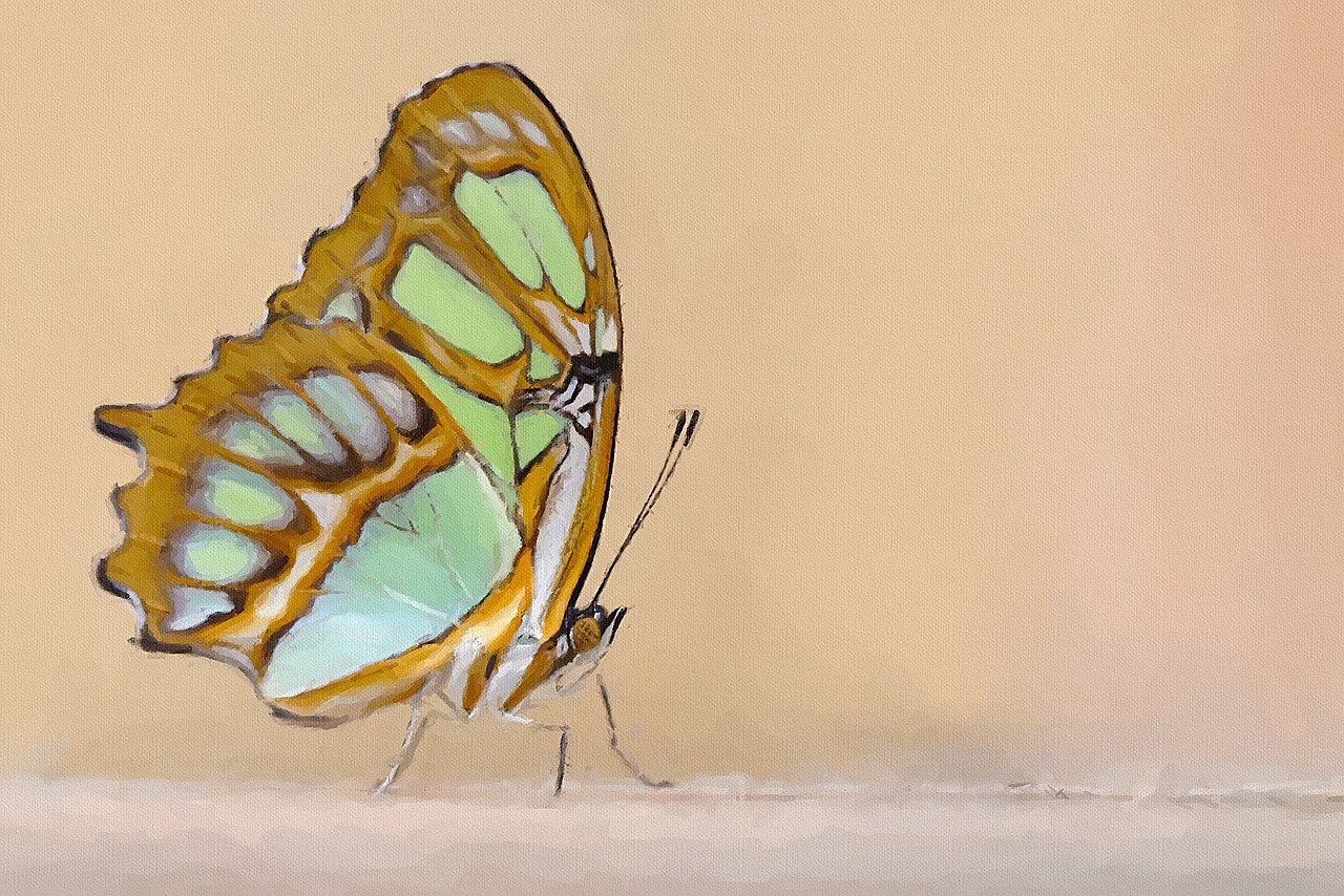 Butterfly Insecte Ailes - Image gratuite sur Pixabay - Pixabay